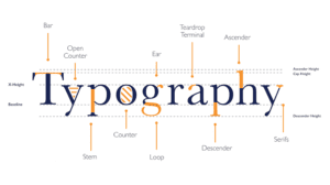 Typography Classification - An Overview | Free Fonts Vault